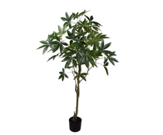 Plant Groen | 150 cm koop je het beste bij Solfelt
