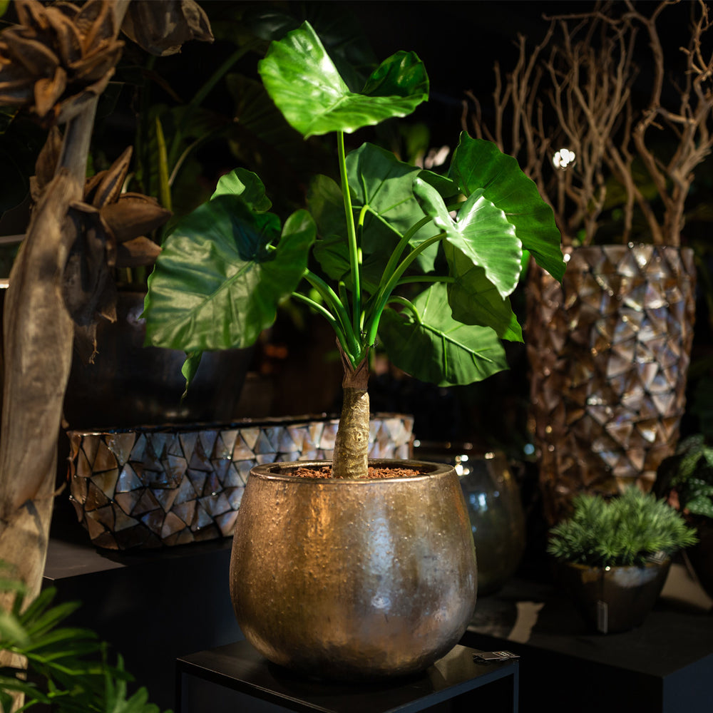 Pot Koos Koper S koop je het beste bij Solfelt